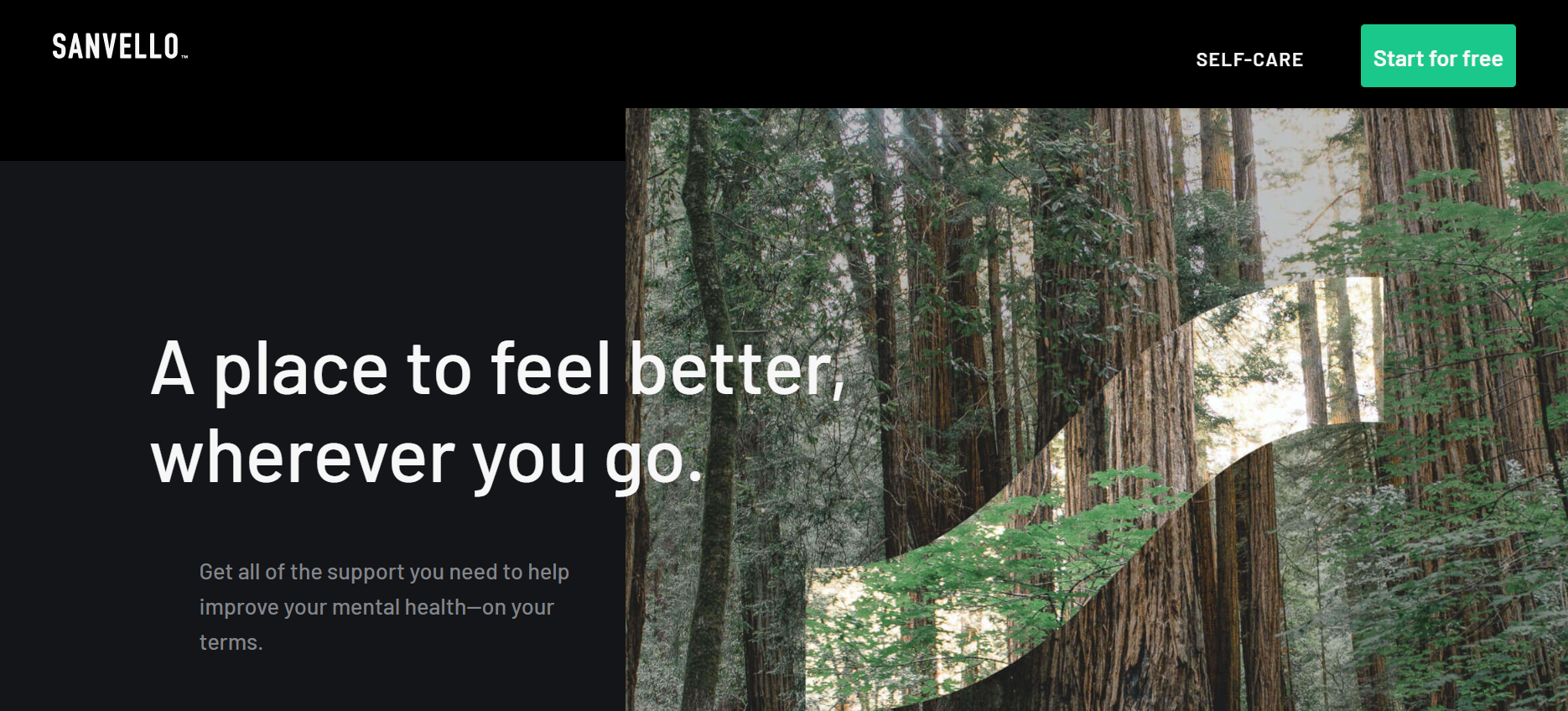 Top 7 Mental Health Apps for College Students — Walturn