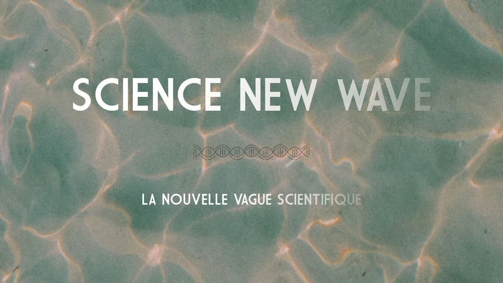 Imagine Science Film Festival 2022 — Walturn