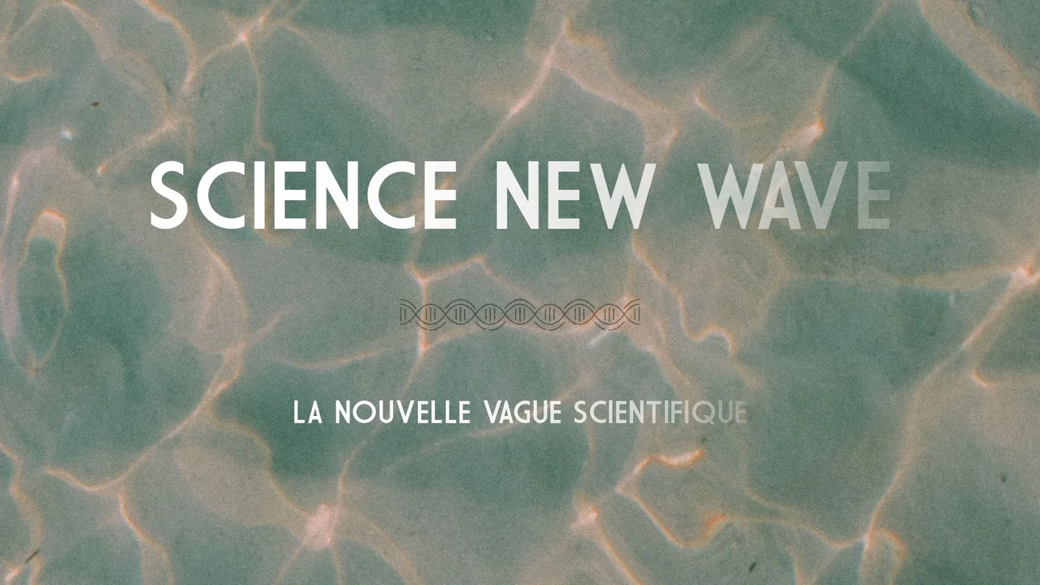 Imagine Science Film Festival 2022 — Walturn