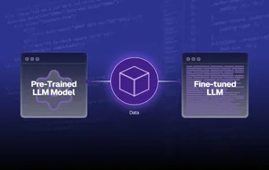 Fine-Tuning Language Models: A How-To Guide — Walturn