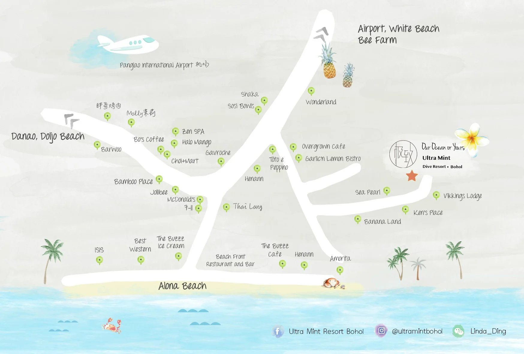 Ultra Mint Dive Resort, Diving in Bohol 极致潜水度假村, 薄荷岛潜水