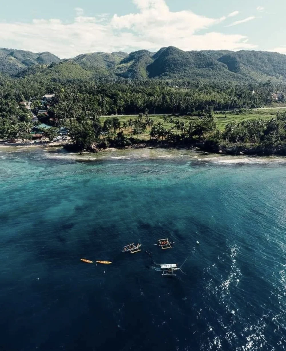Ultra Mint Dive Resort, Diving in Bohol and Balicasag 极致潜水度假村, 薄荷岛潜水