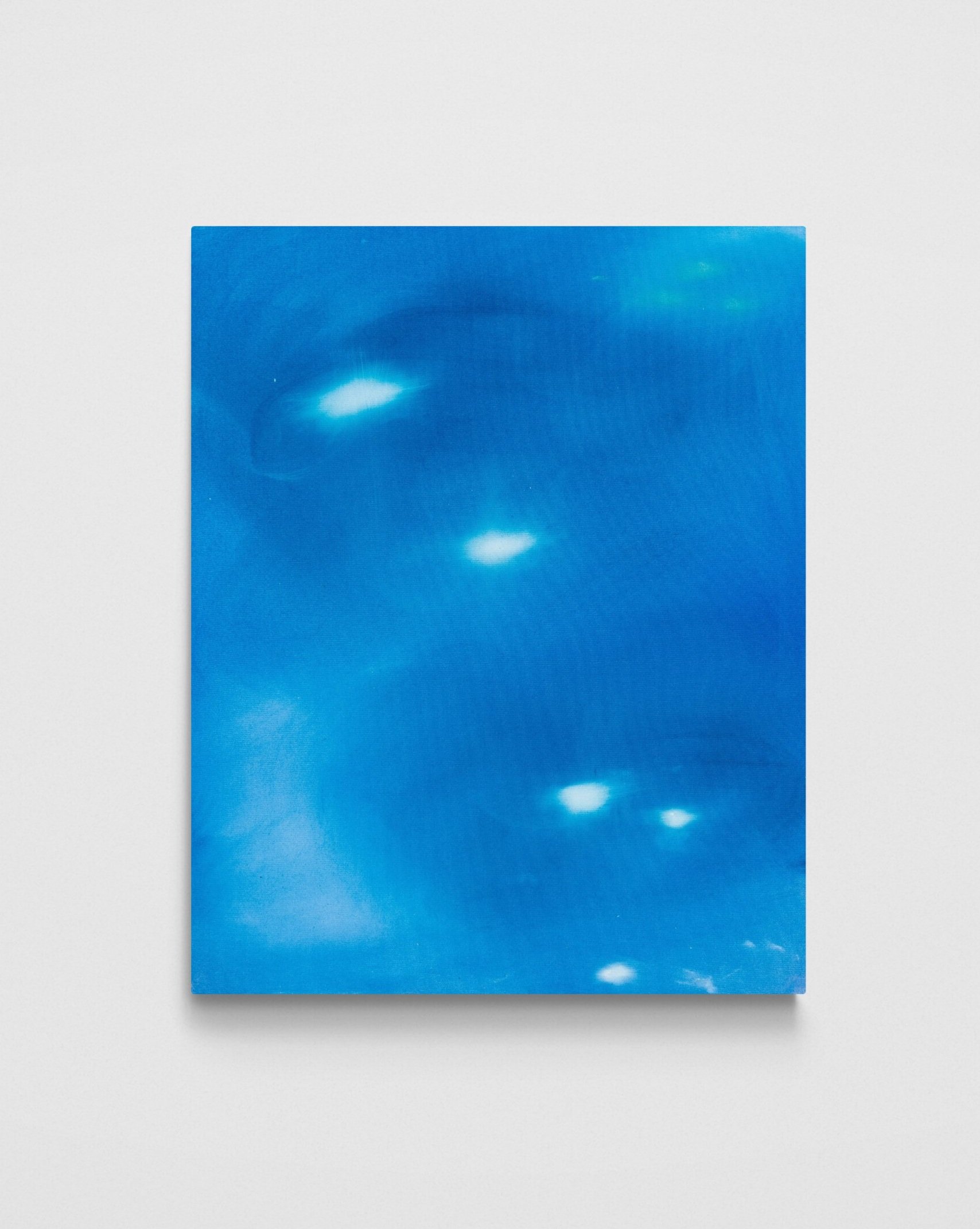 Original Paintings — Claire Buckley Art