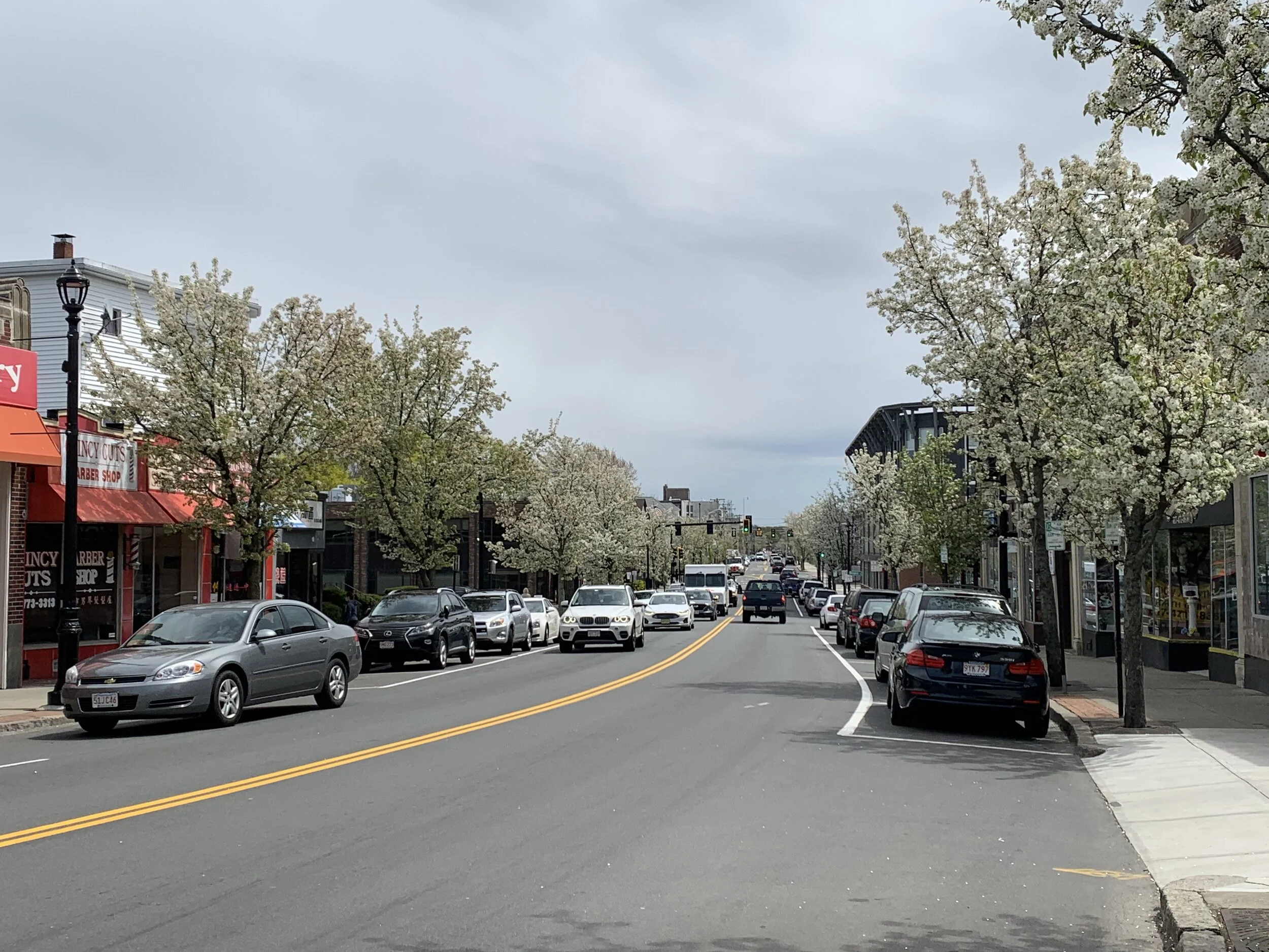 About — Quincy Tree Alliance