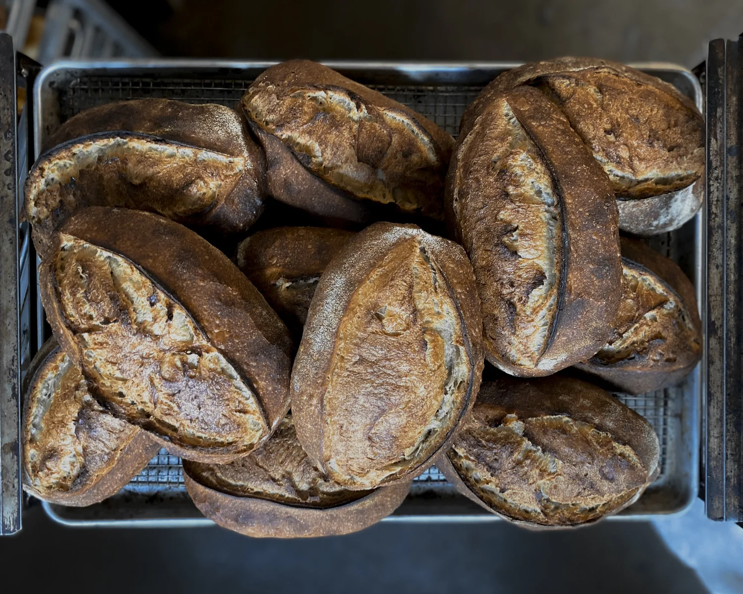 Our Story — DOZEN BAKERY