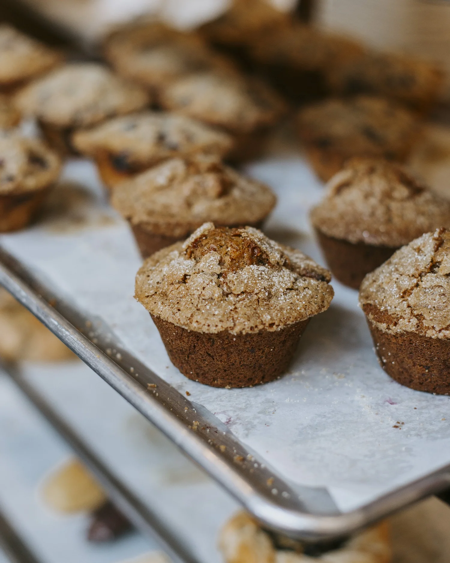 DOZEN BAKERY