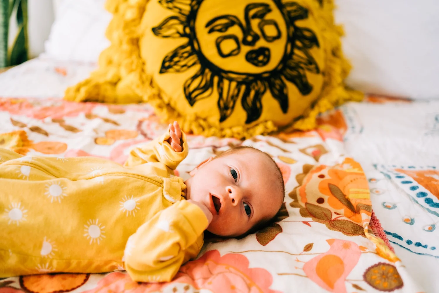 Colorado Newborn & Family Photographer Jessica Dory