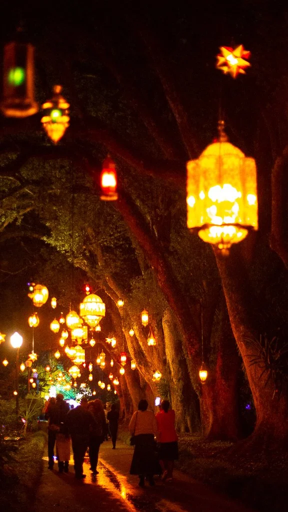 Dazzling Nights : immerse yourself in the wonder of the holidays