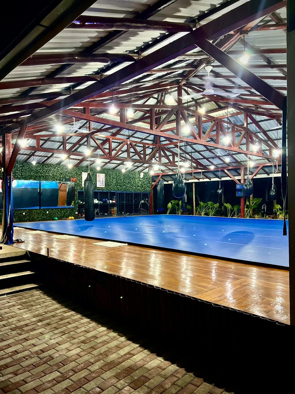 Jungles Edge | Jiu-Jitsu, Muay Thai, Surfing, Yoga, Retreats