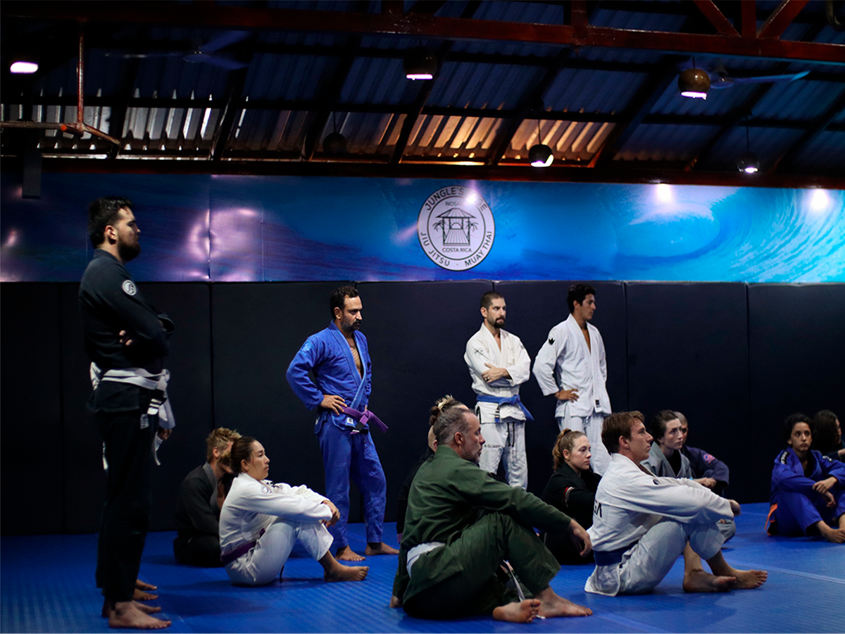 Jungles Edge Jiu Jitsu Muay Thai Surfing Yoga Retreats