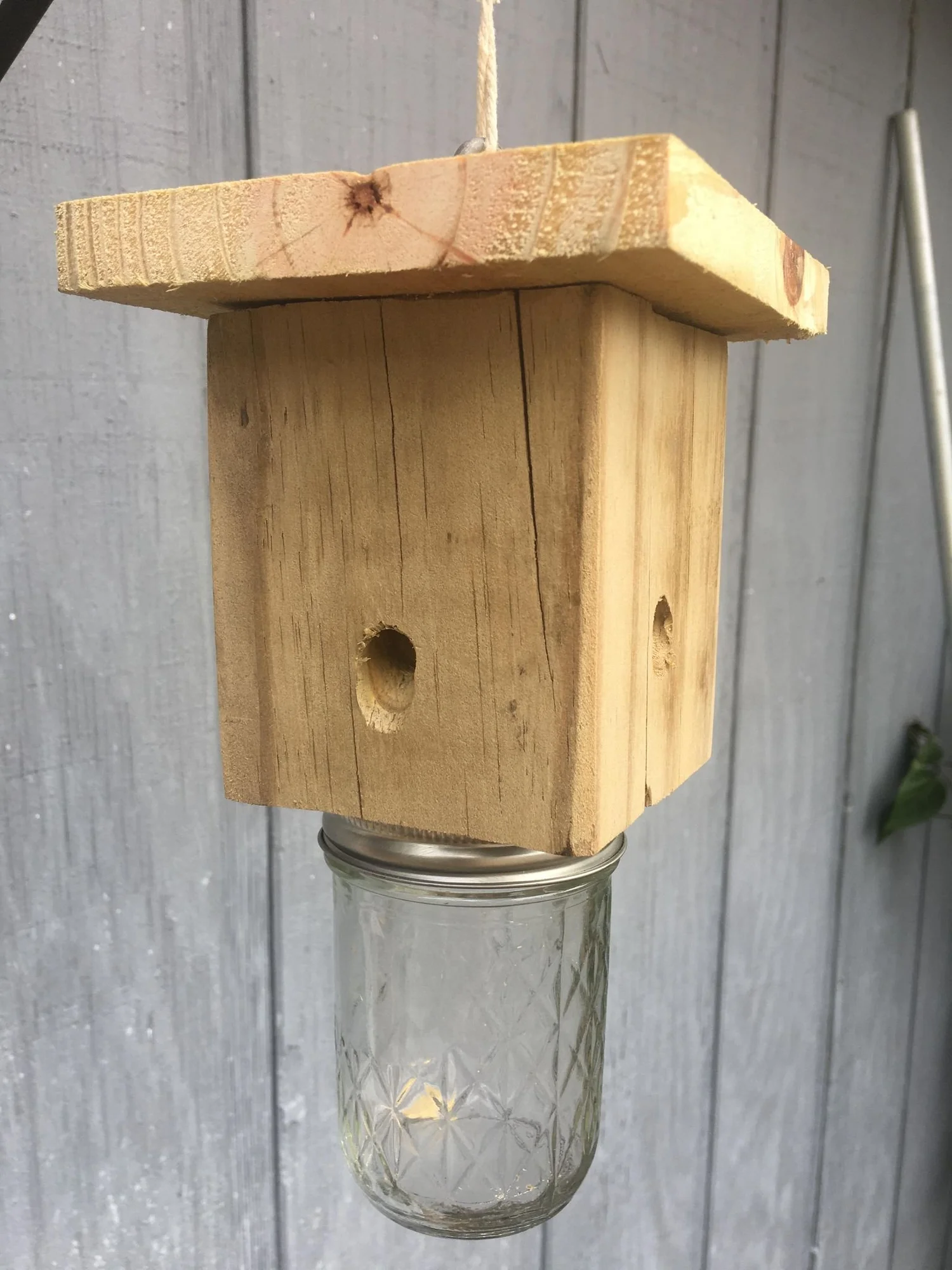 Wood Borer Bee Trap Plans