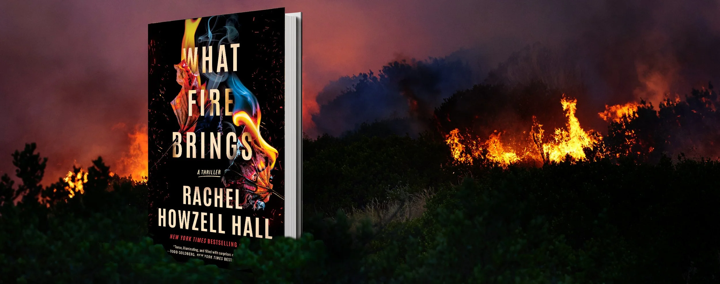 Books — Rachel Howzell Hall