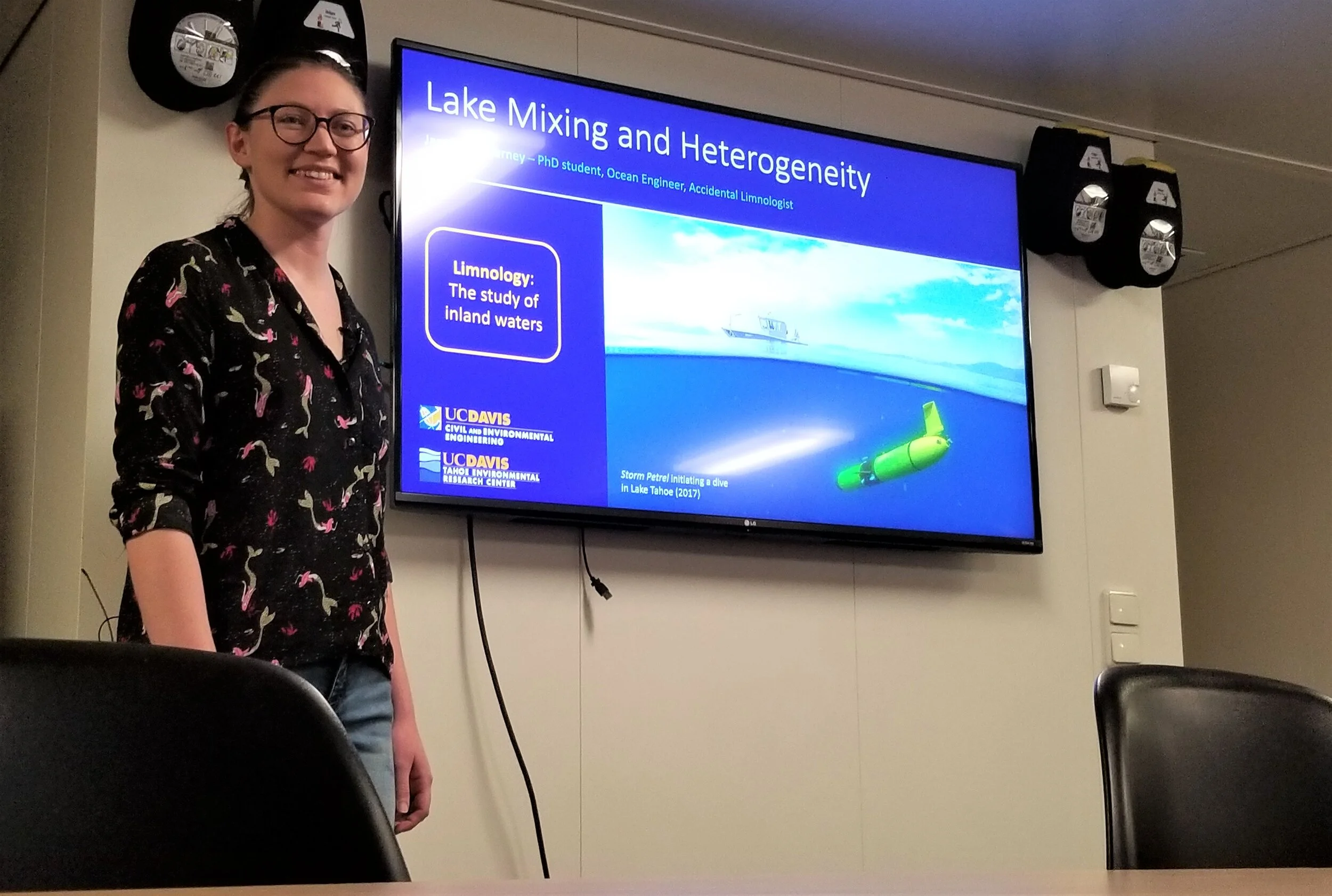 Professional Experience — Jasmin McInerney