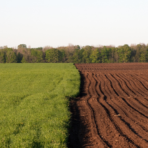 Land Wanted — Blaser's Acres