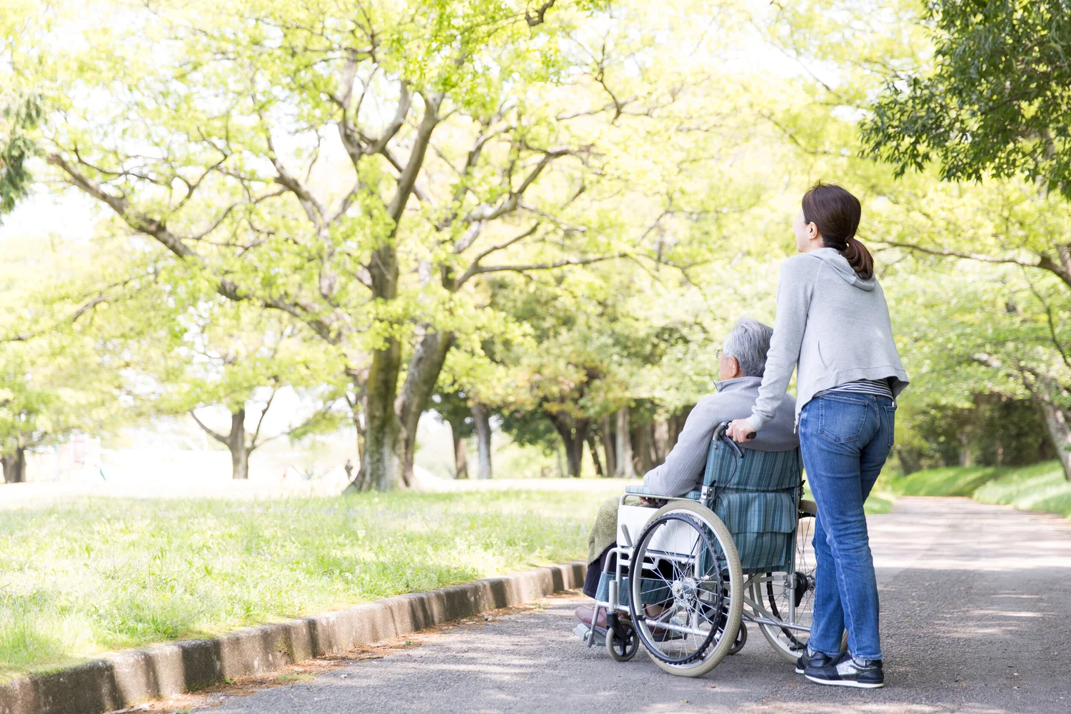 Living and Care — Homesteadcare Ilam