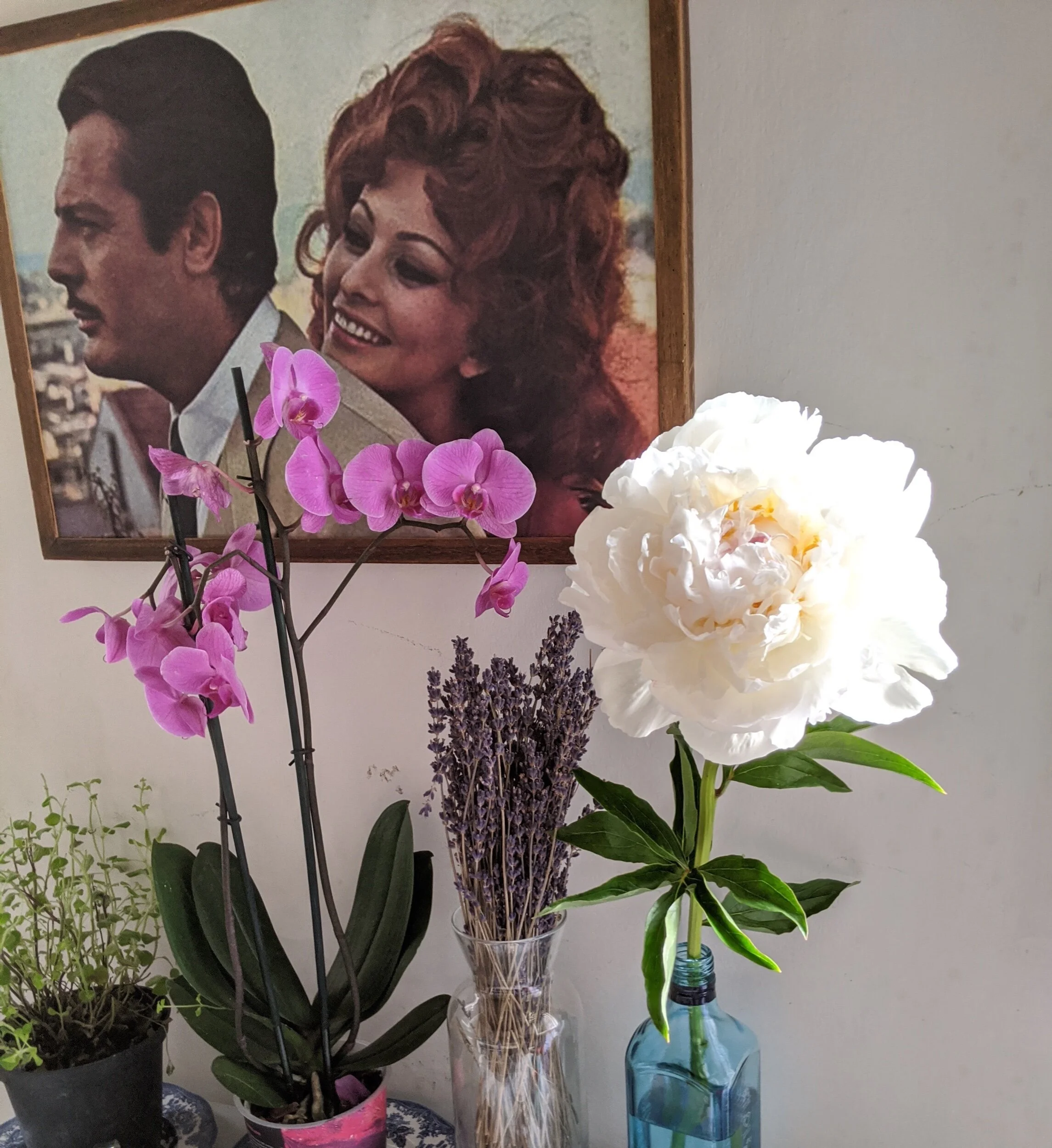 Brass Flower Ravioli Stamp — TheDolceVitaExperience