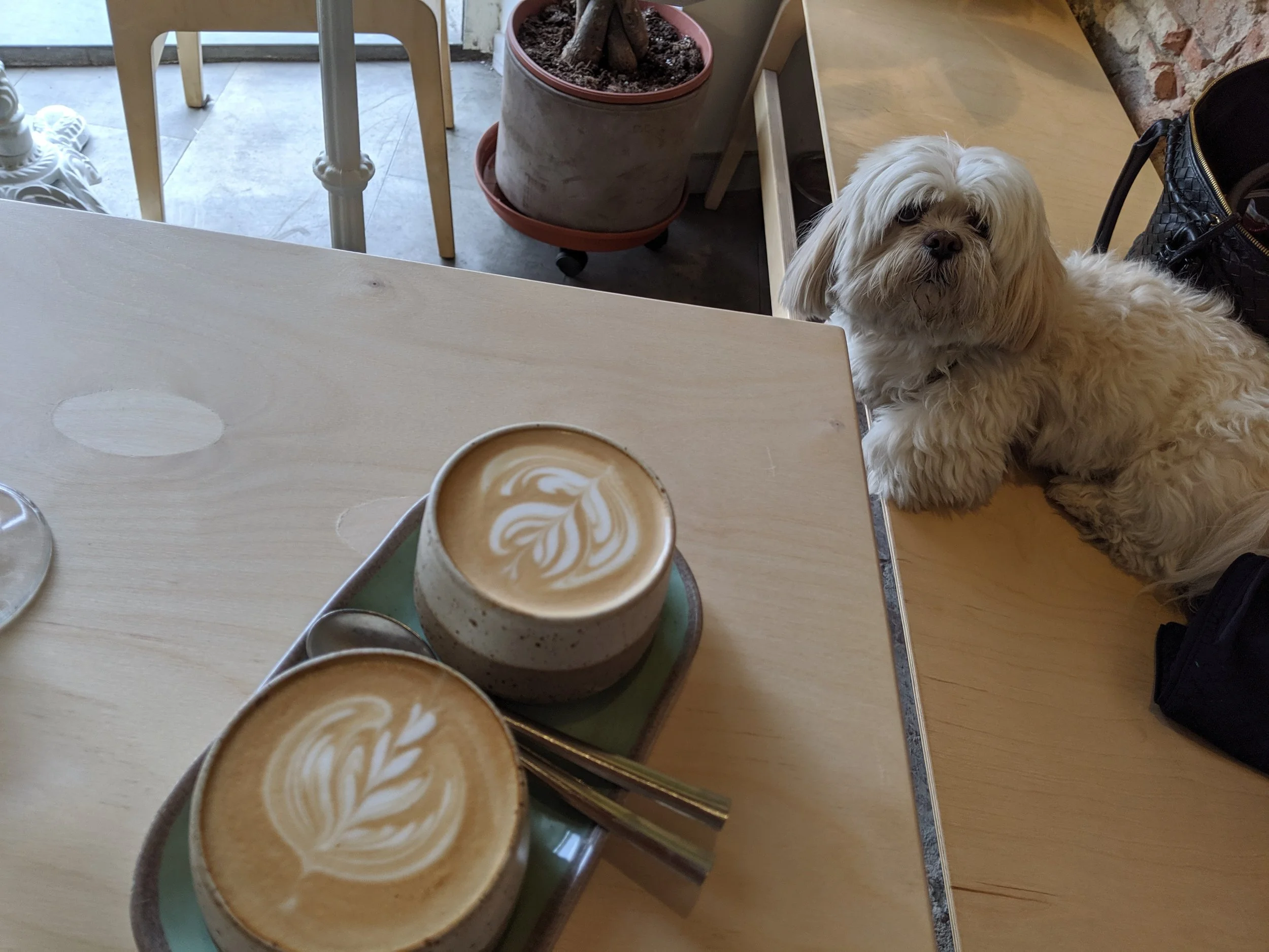 The BEST Coffee in Florence — TheDolceVitaExperience