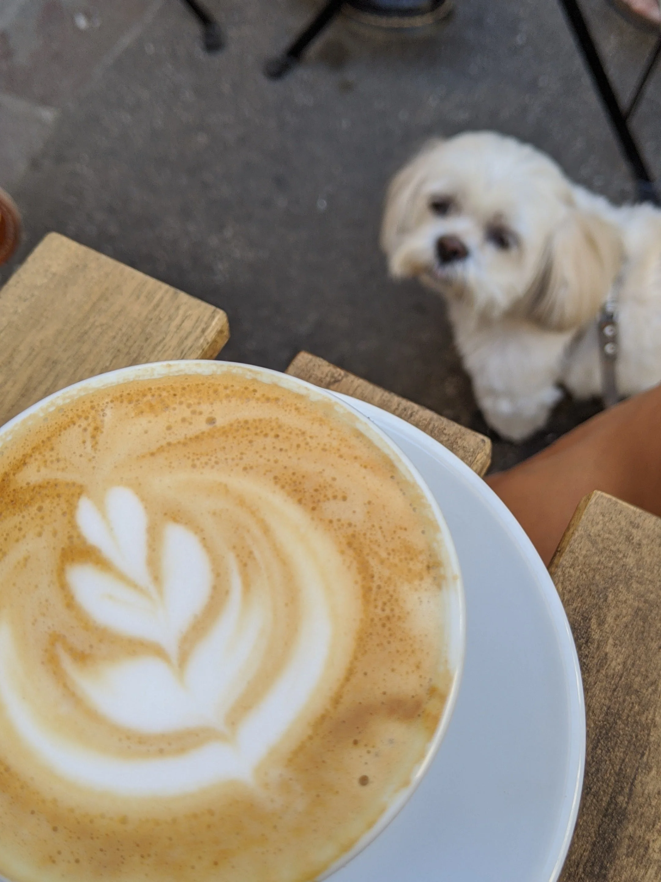 The BEST Coffee in Florence — TheDolceVitaExperience