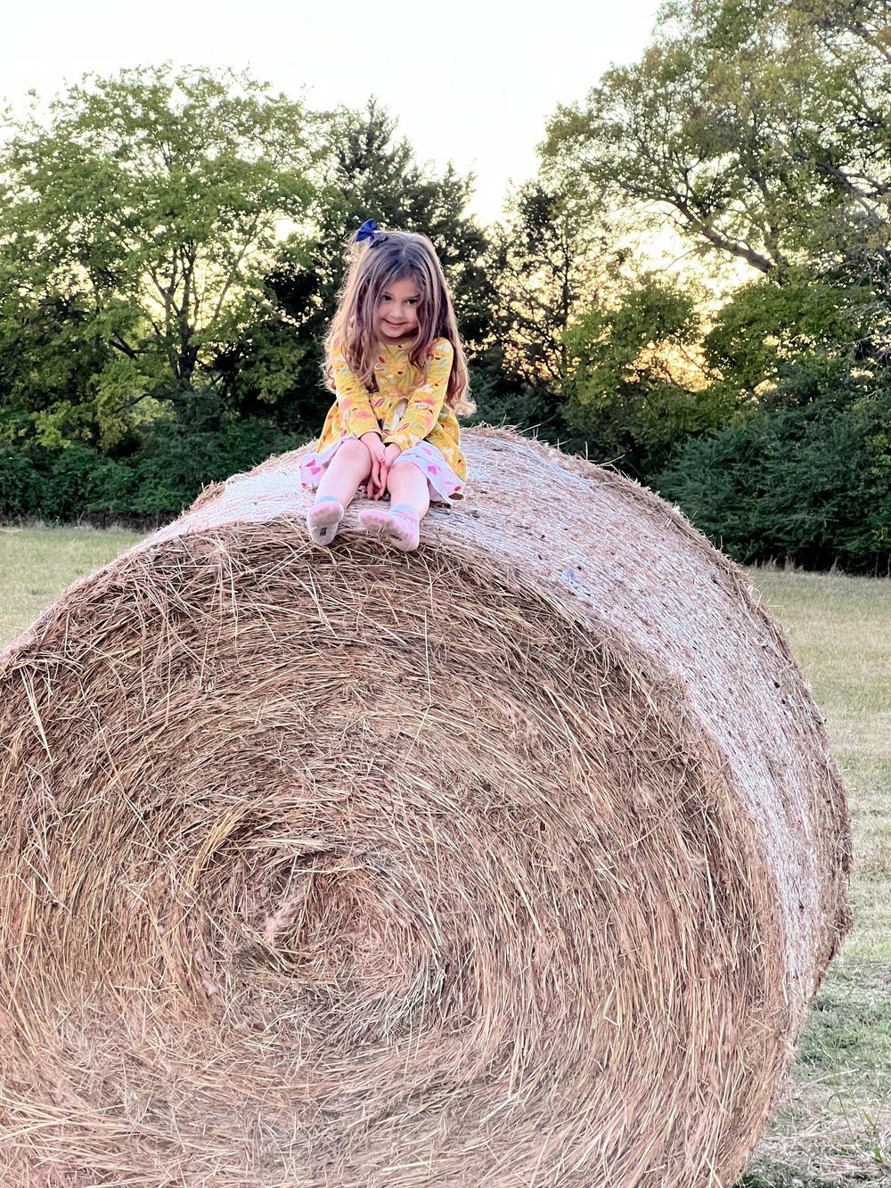 In and Around the Ranch — Harrison Chicken Ranch