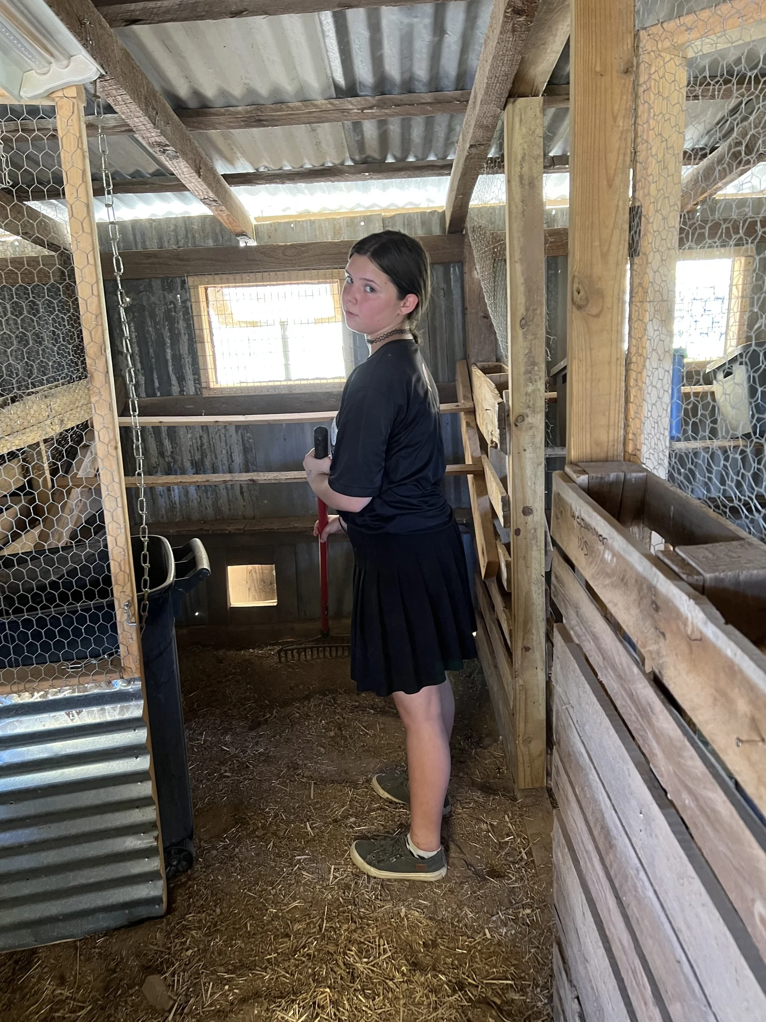 In and Around the Ranch — Harrison Chicken Ranch