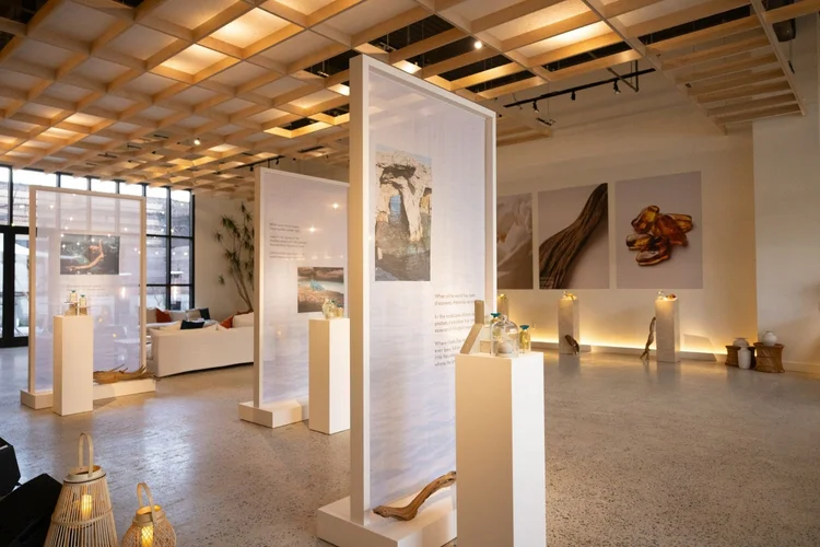 Shell's Loft Fort Greene