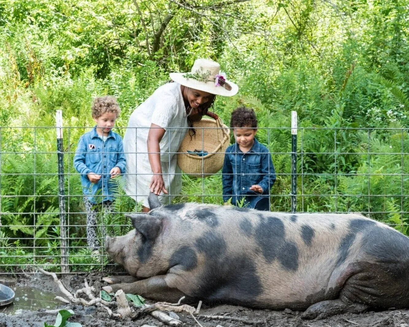 Farm and Forest — Retreat Farm