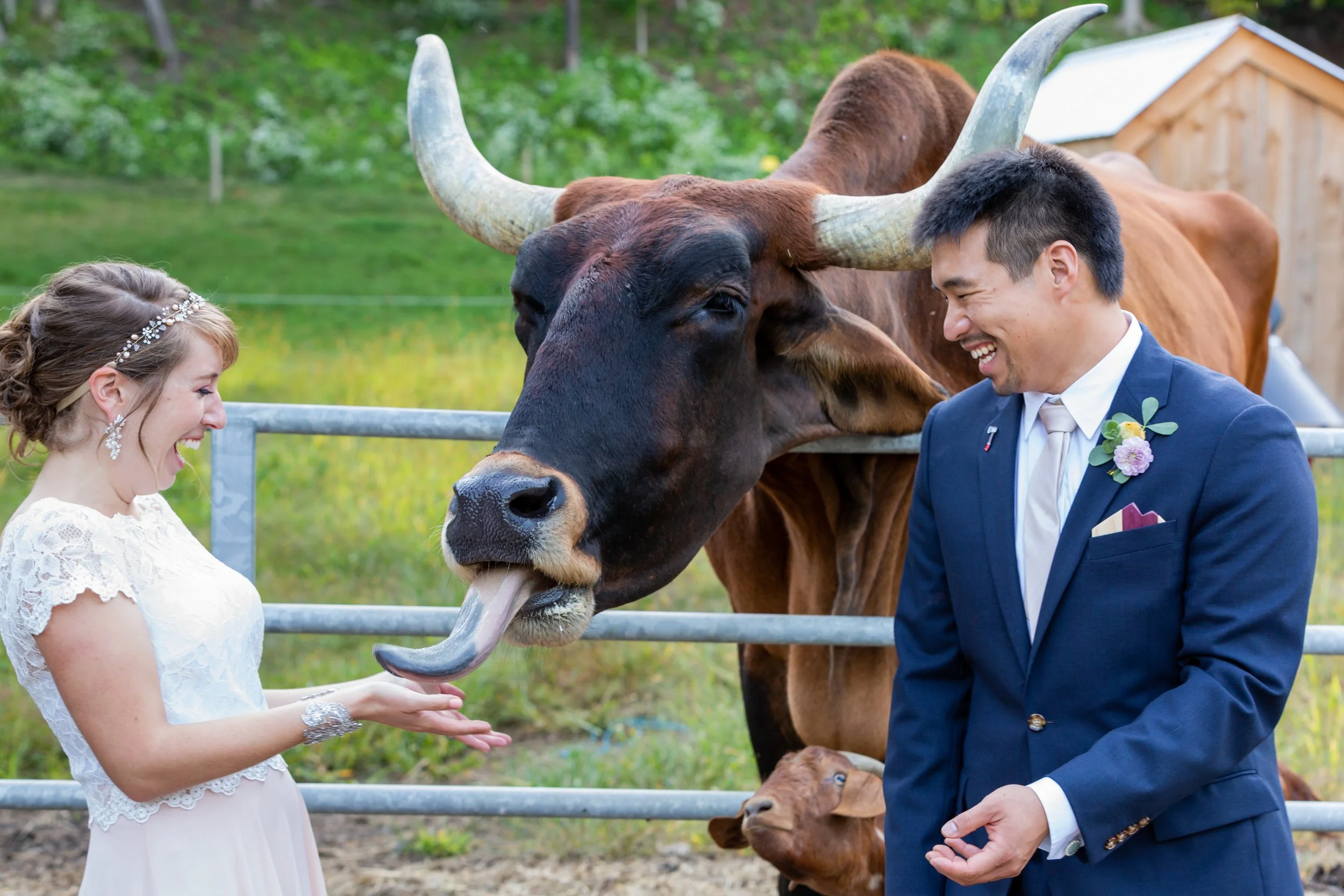 Private Events — Retreat Farm