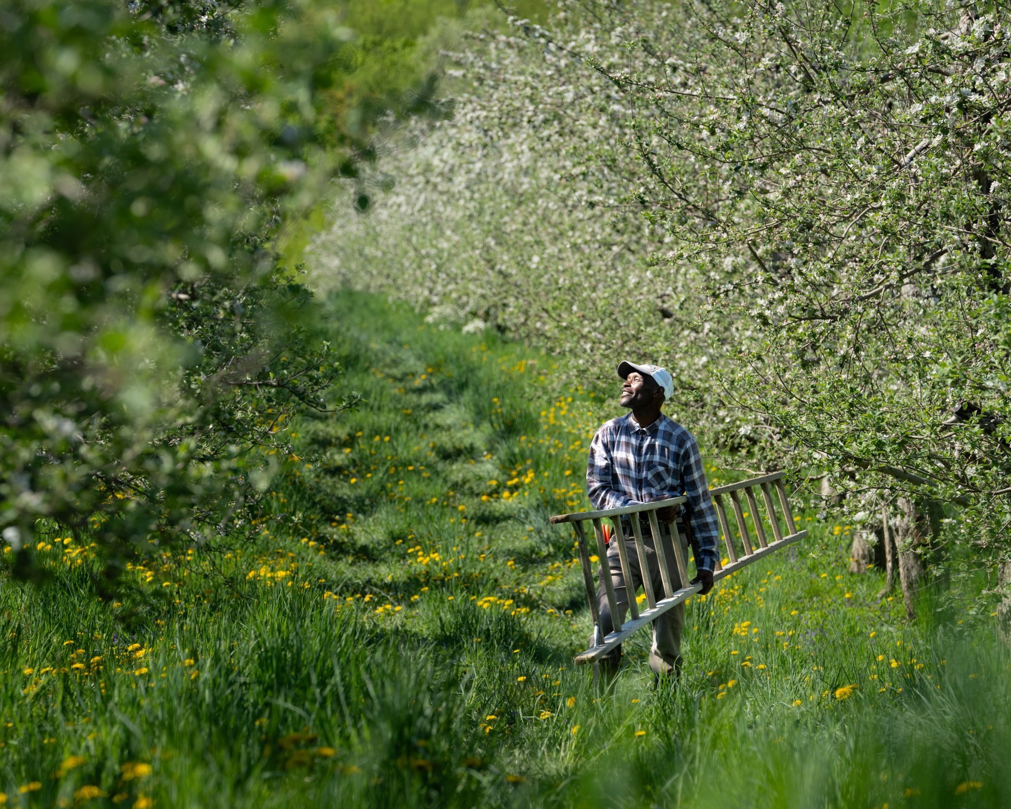 Retreat Farm Market — Retreat Farm