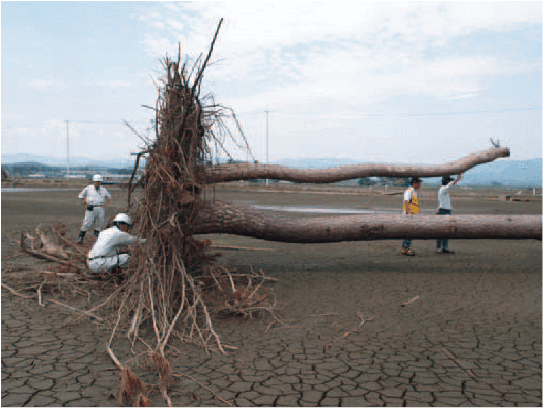 Assessing damage caused by debris impact to marine structures ...
