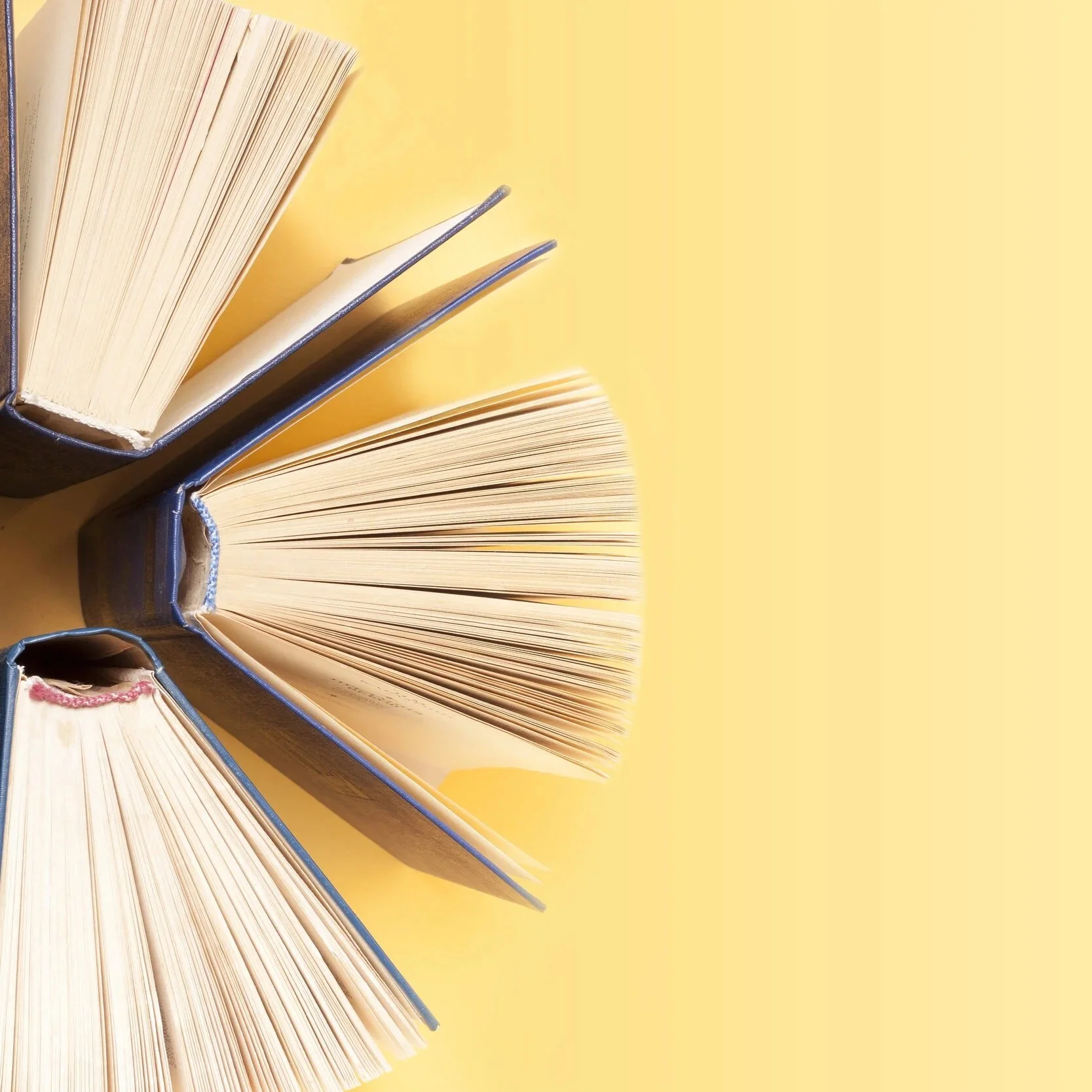 Book Dumpling