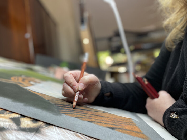 About the Artist — Dani Robertson Fine Art