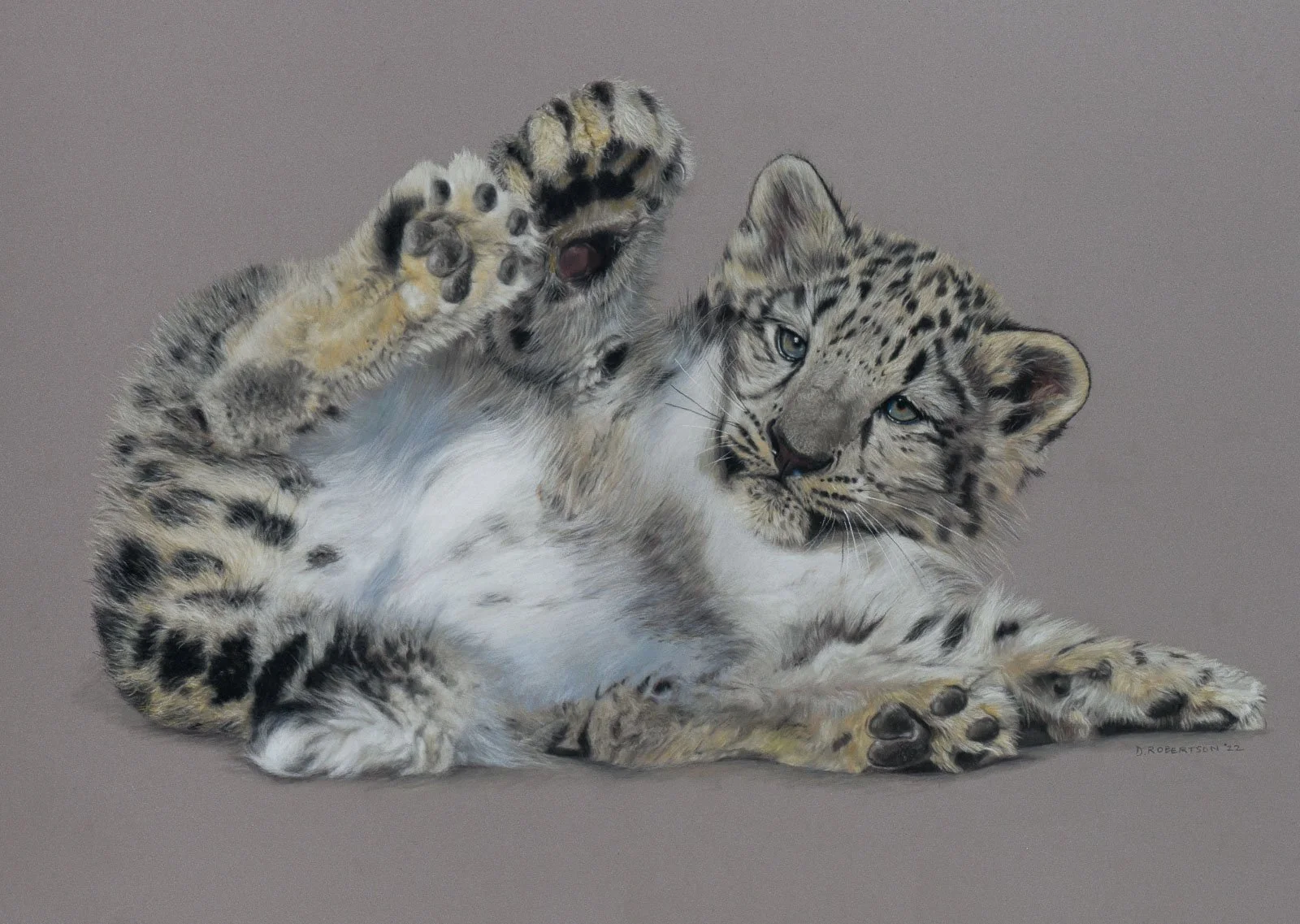 Gallery 1 — Dani Robertson Fine Art