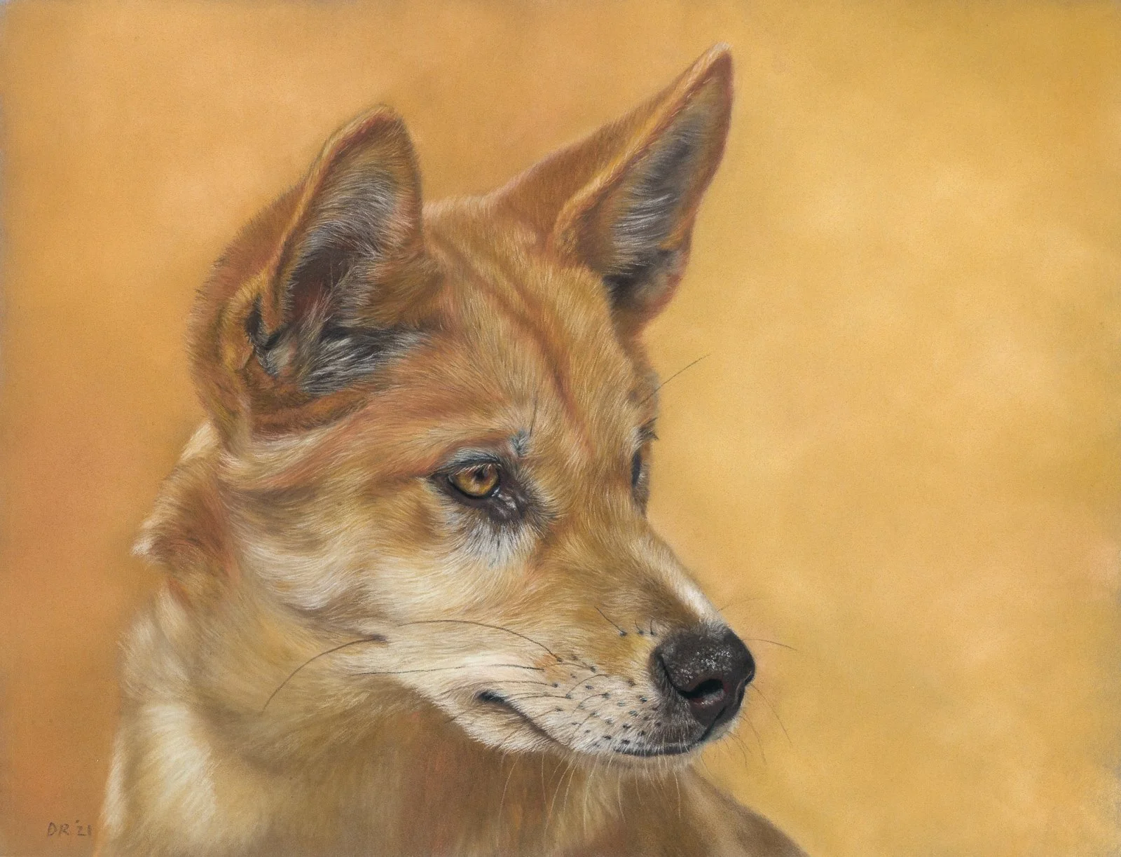 Gallery 1 — Dani Robertson Fine Art