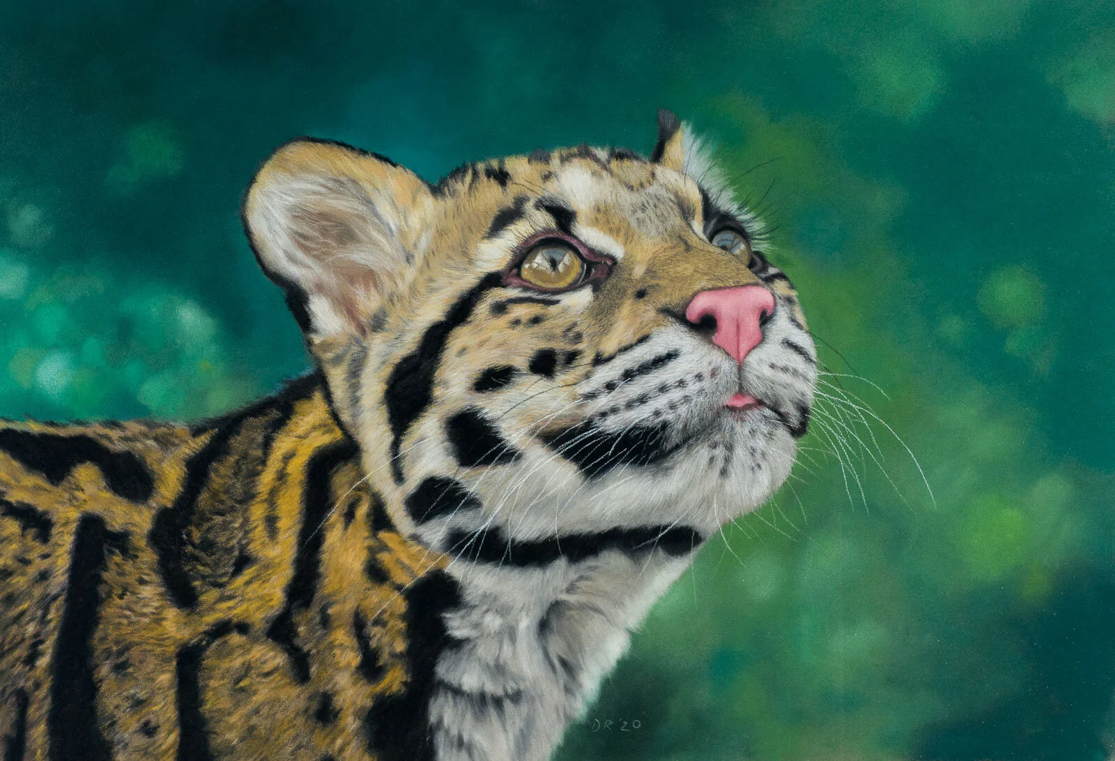 Gallery 1 — Dani Robertson Fine Art