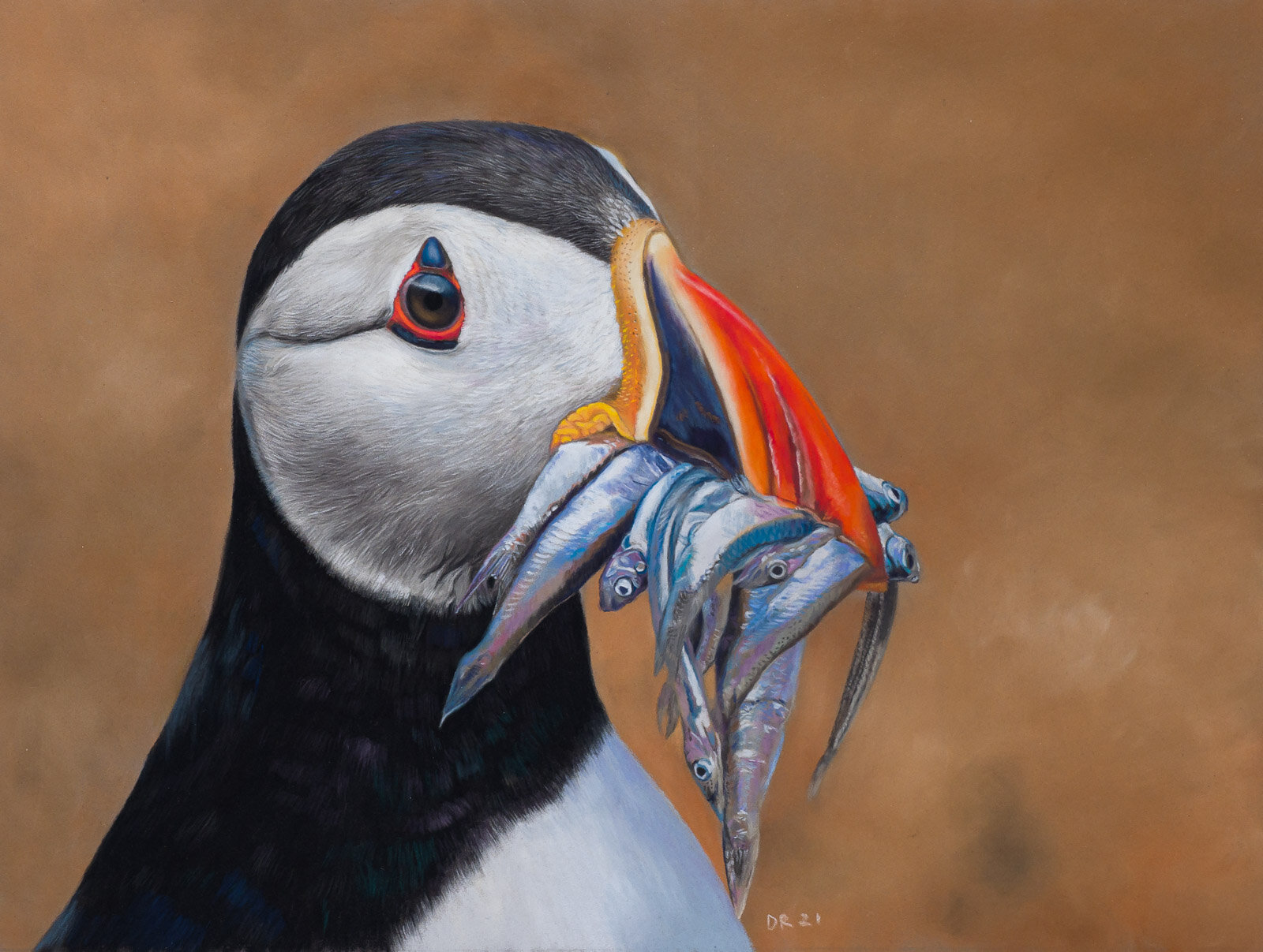 Gallery 1 — Dani Robertson Fine Art