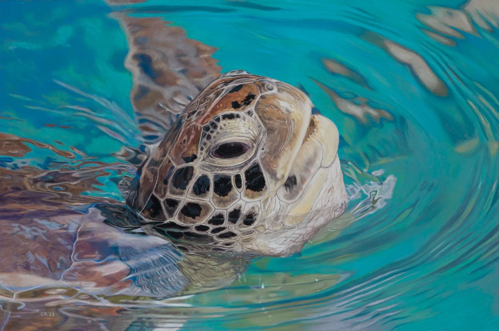 Portfolio — Dani Robertson Fine Art