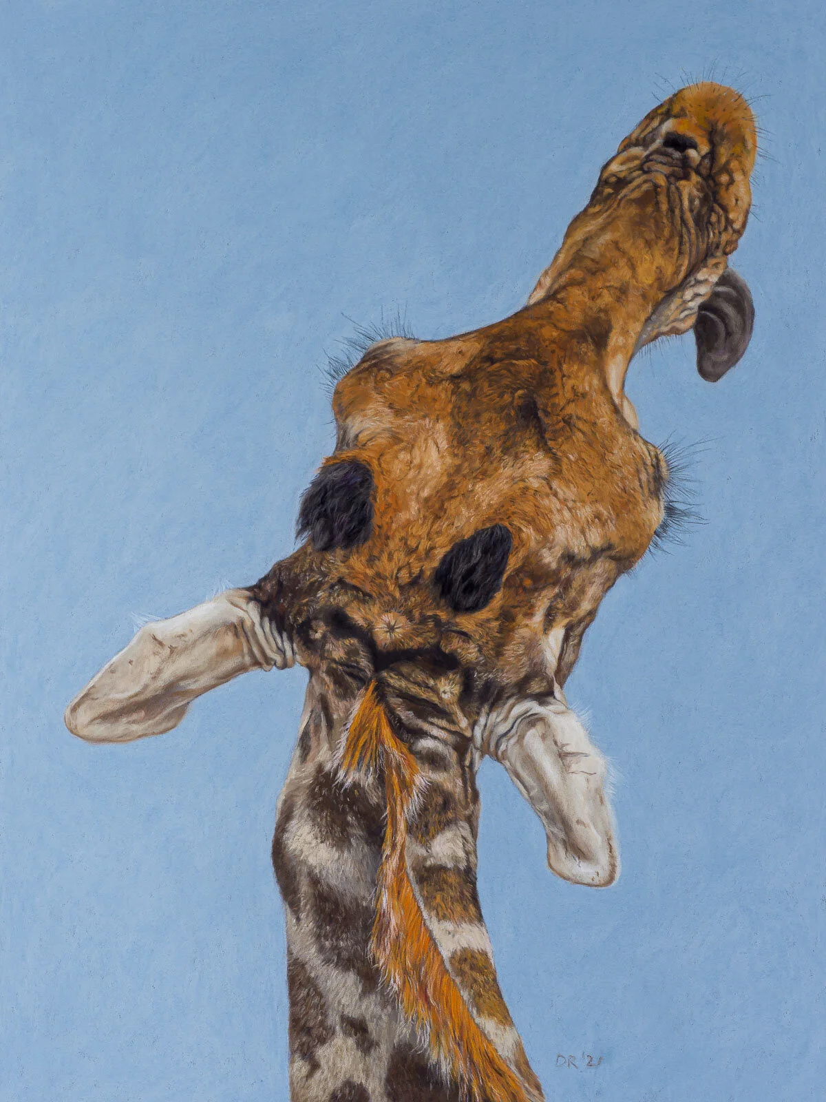 Gallery 1 — Dani Robertson Fine Art