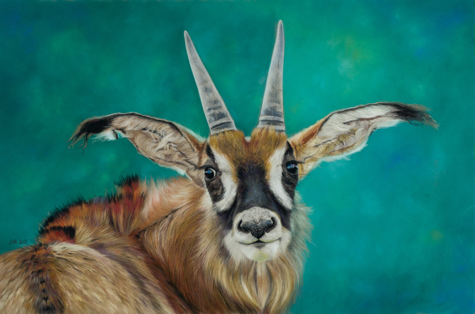 Gallery 1 — Dani Robertson Fine Art