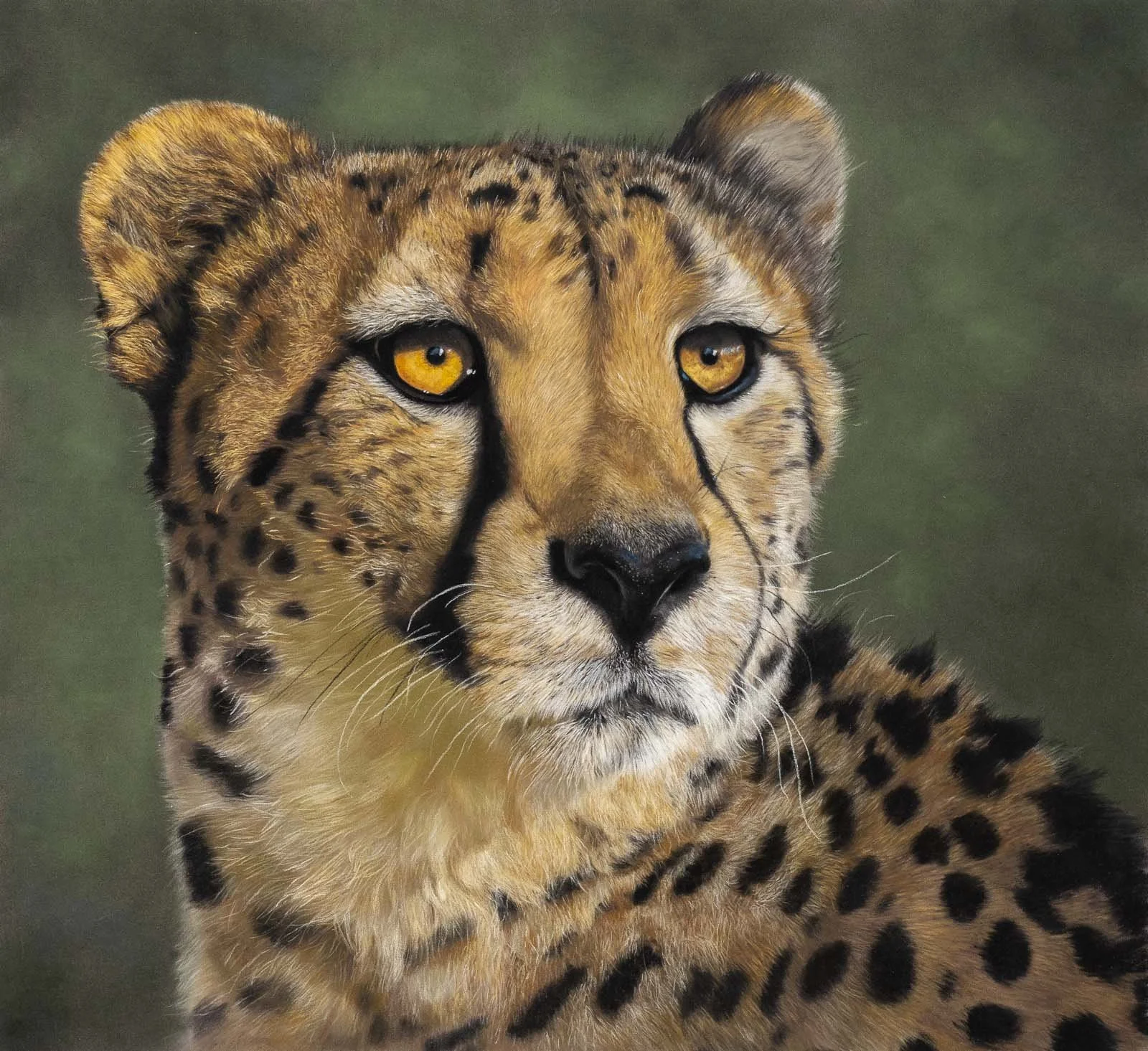 Gallery 1 — Dani Robertson Fine Art