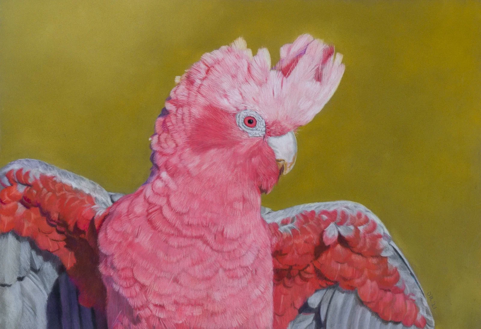 Gallery 1 — Dani Robertson Fine Art