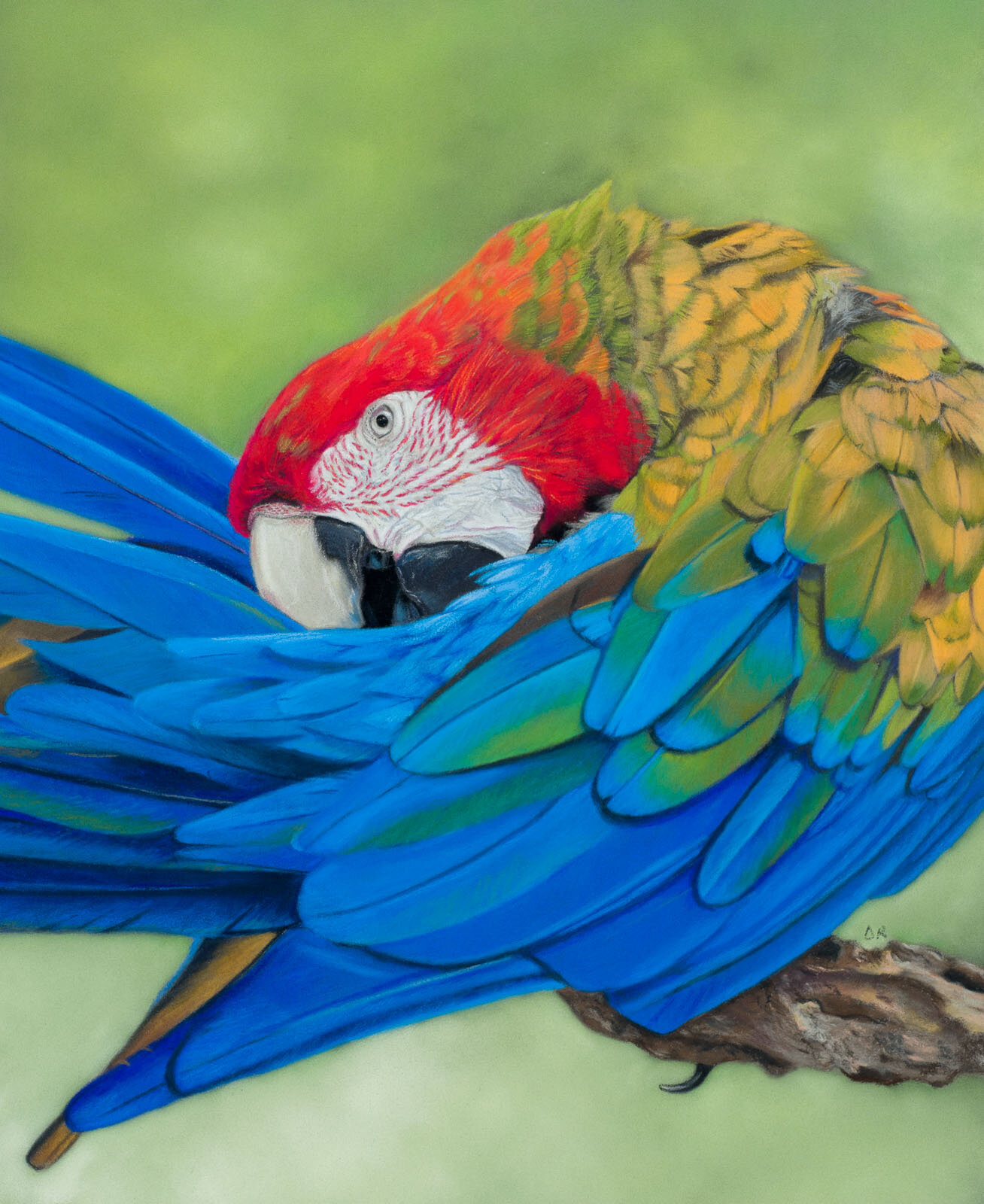 Gallery 1 — Dani Robertson Fine Art