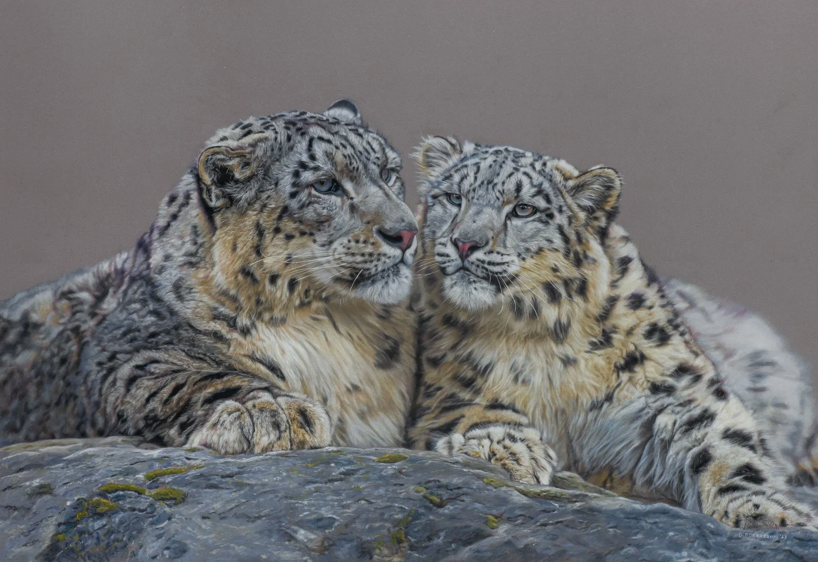 Gallery 1 — Dani Robertson Fine Art