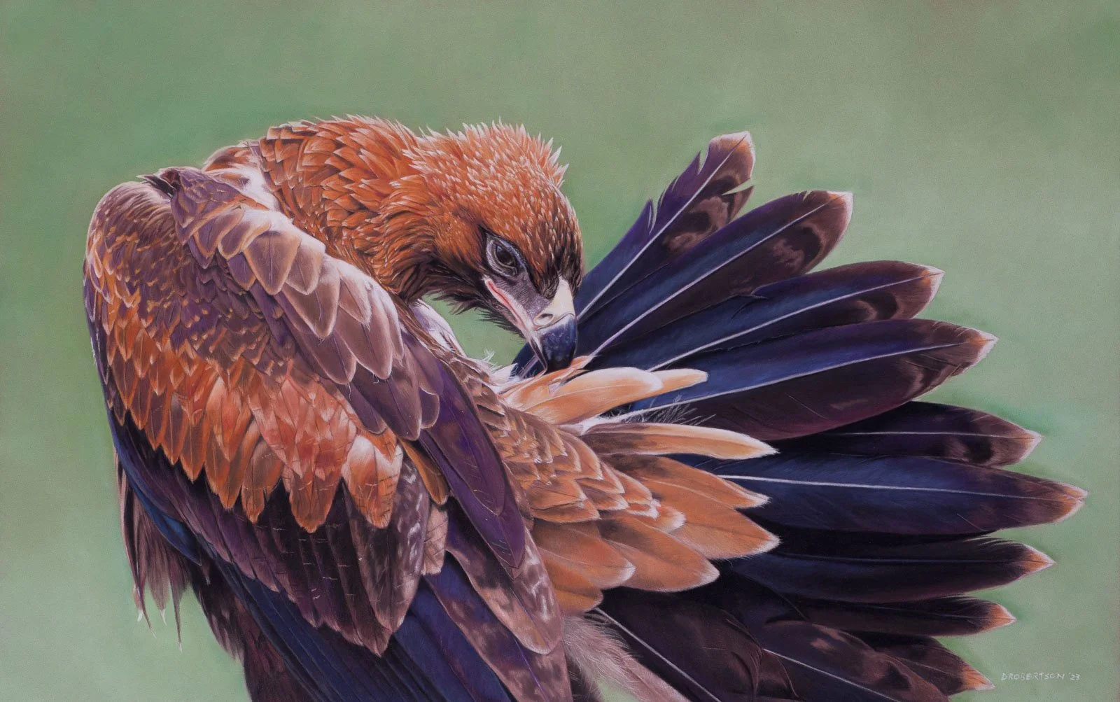 Gallery 1 — Dani Robertson Fine Art