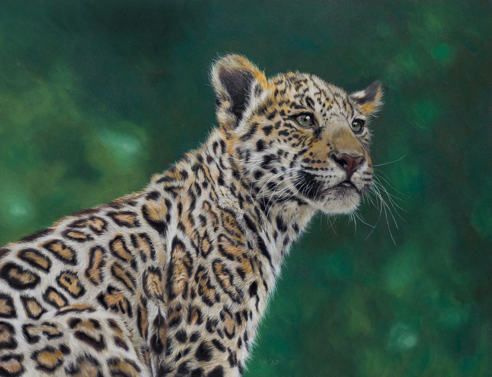 Gallery 1 — Dani Robertson Fine Art