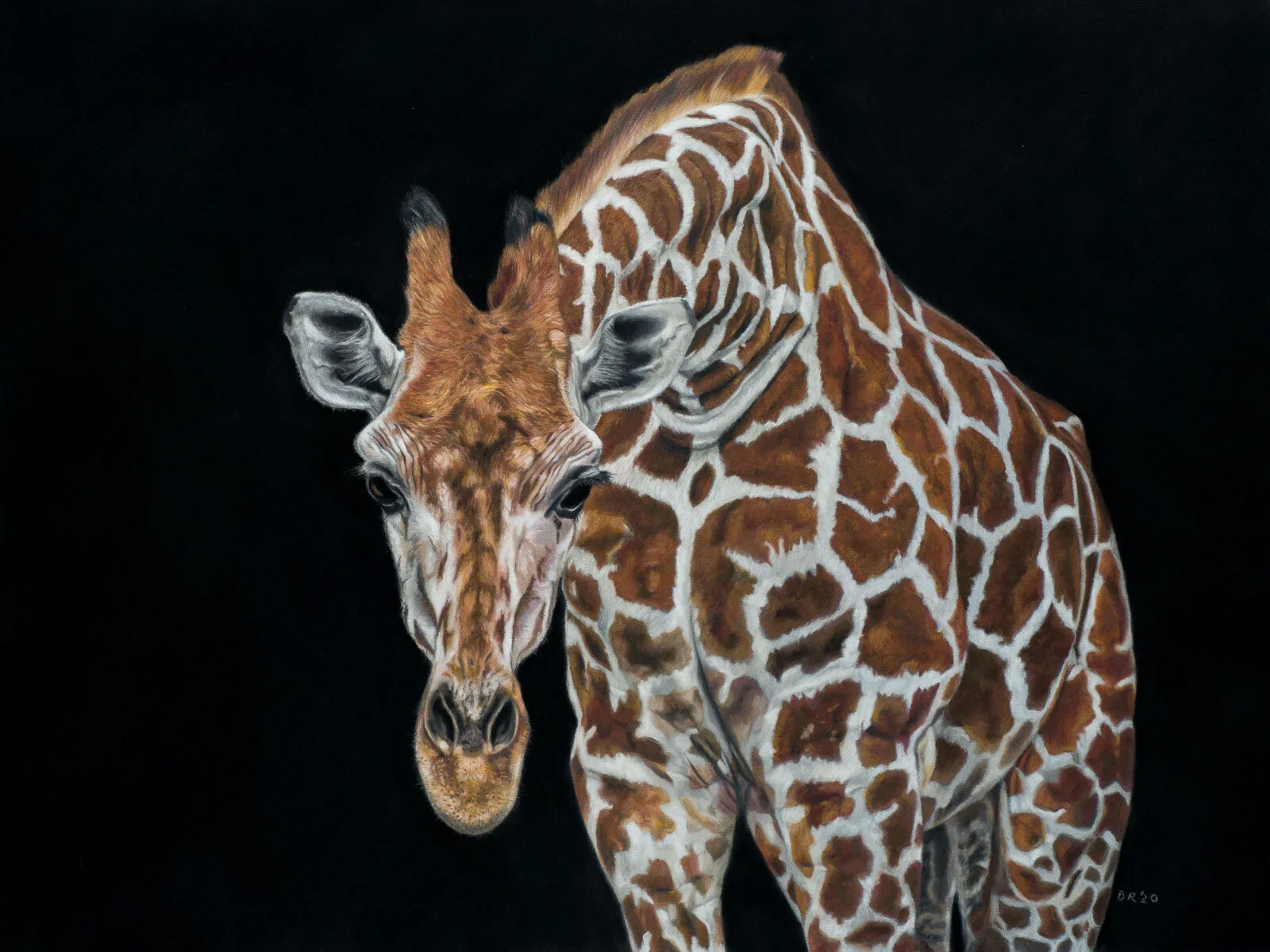 Gallery 1 — Dani Robertson Fine Art