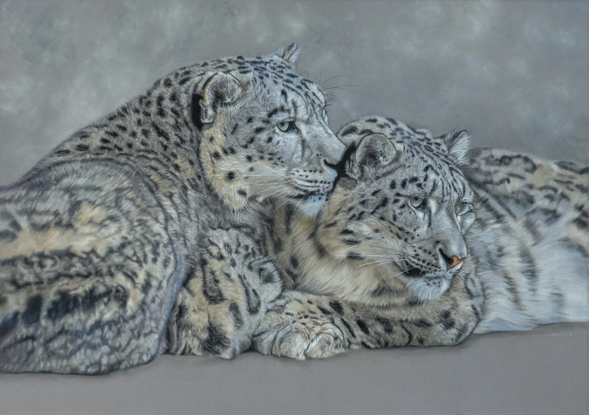 Gallery 1 — Dani Robertson Fine Art