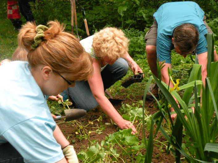 Stroud Valleys Project