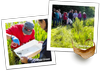 Stroud Valleys Project