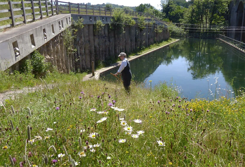 Current projects — Stroud Valleys Project