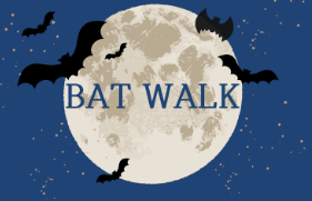 Events — Stroud Valleys Project